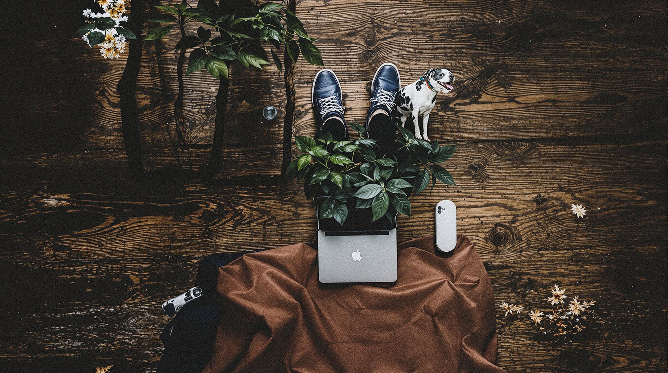 Remote Work Insights - modernjobhunting.com